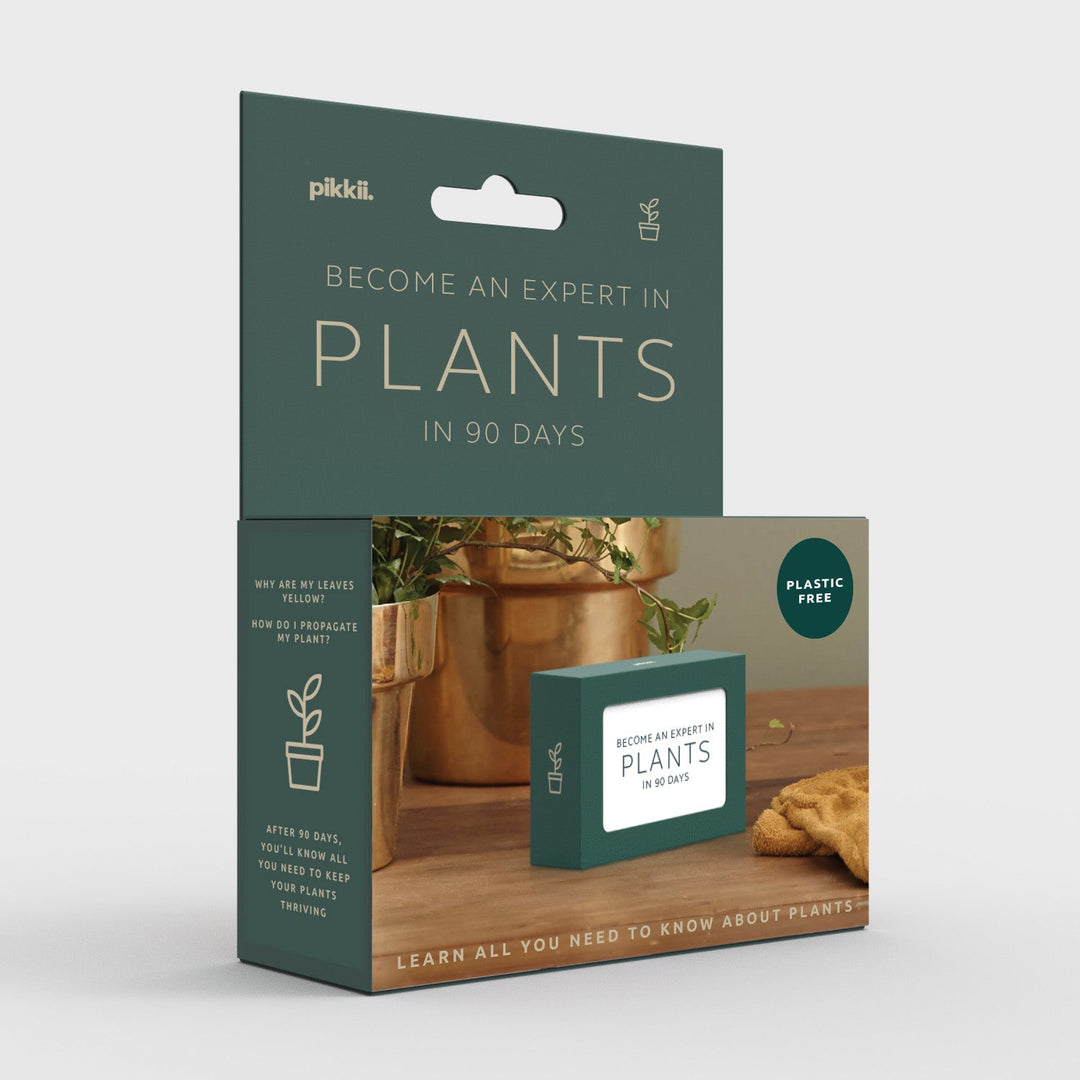 Products – Pikkii Wholesale
