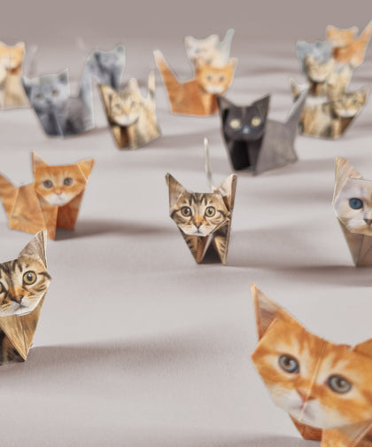 Paper Cats | Origami Cat Craft Kit | Fun Gift for Cat Lovers by Pikkii ...