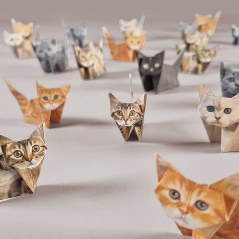 Paper Cats | Origami Cat Craft Kit | Fun Gift for Cat Lovers by Pikkii ...