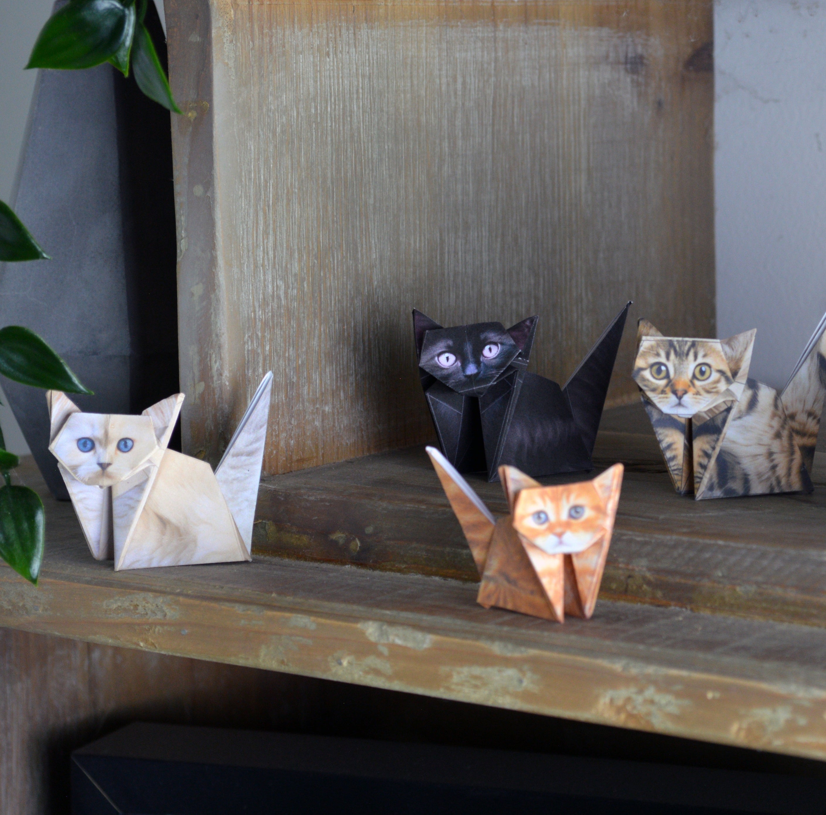 Paper Cats | Origami Cat Craft Kit | Fun Gift for Cat Lovers by Pikkii ...