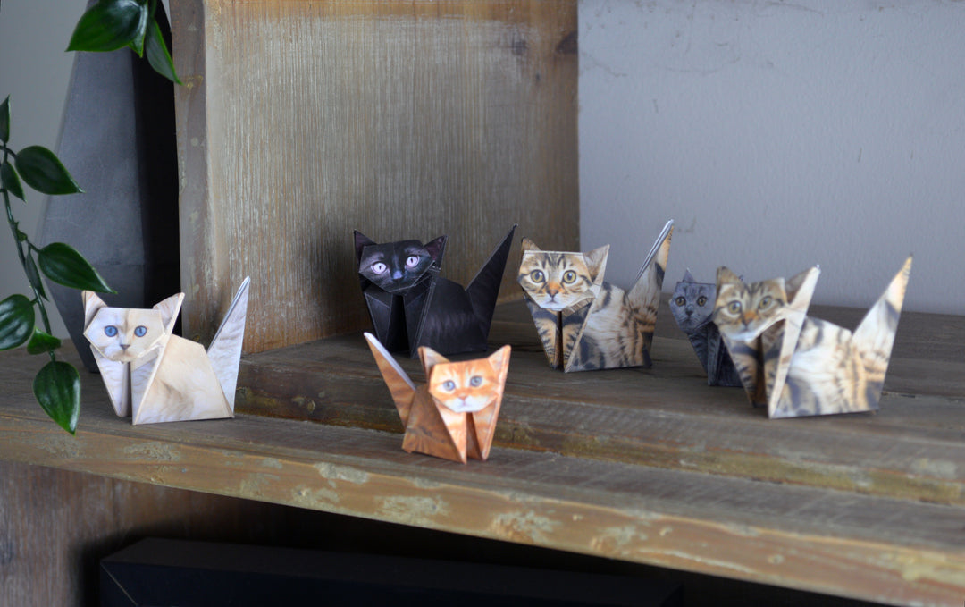 Pikkii Wholesale | Award-Winning Design-led Gifts & Games