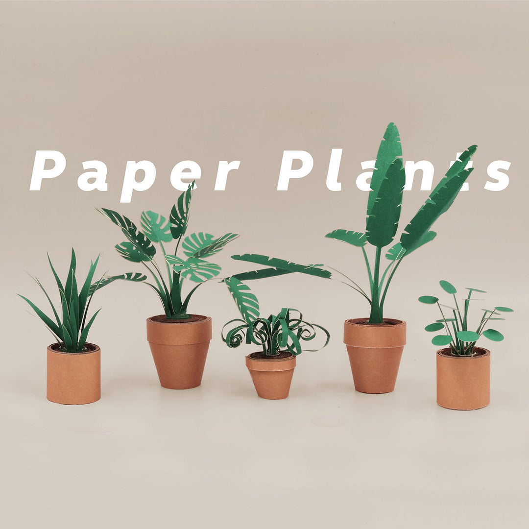 Paper Plants Craft Kit | Gift For Plant Lovers by Pikkii – Pikkii Wholesale